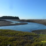 Martin Head, New Brunswick, Canada - 17 Reviews, Map | AllTrails