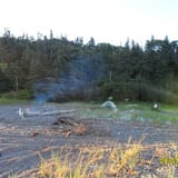 Martin Head, New Brunswick, Canada - 17 Reviews, Map | AllTrails