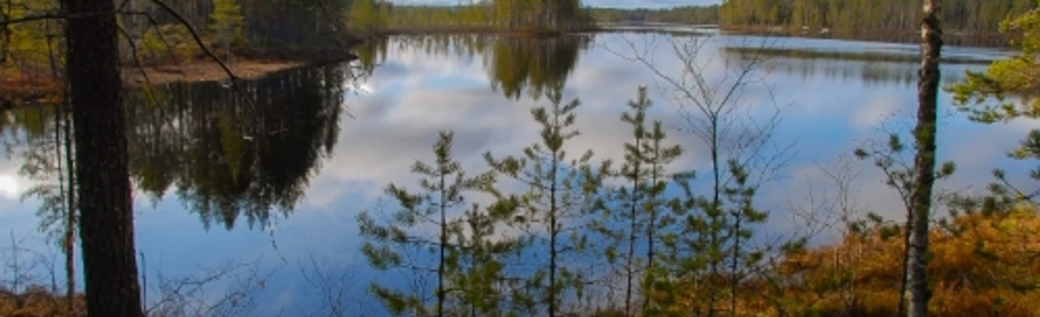 Uiton kierto loop: 2 Reviews, Map - Northern Savonia, Finland | AllTrails