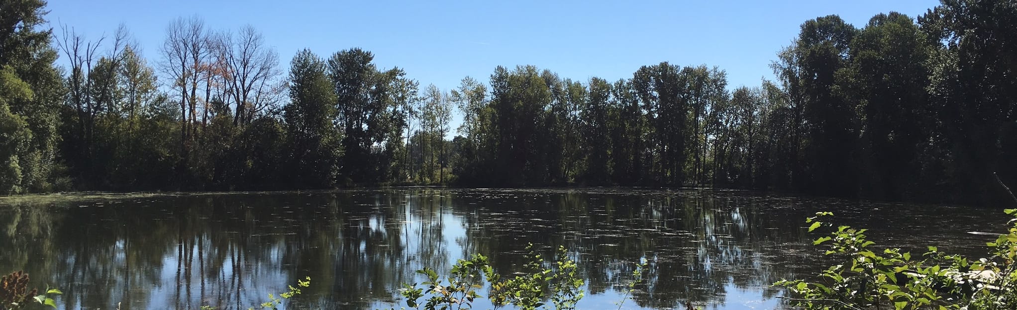 Whitaker Ponds Nature Park - Oregon | AllTrails