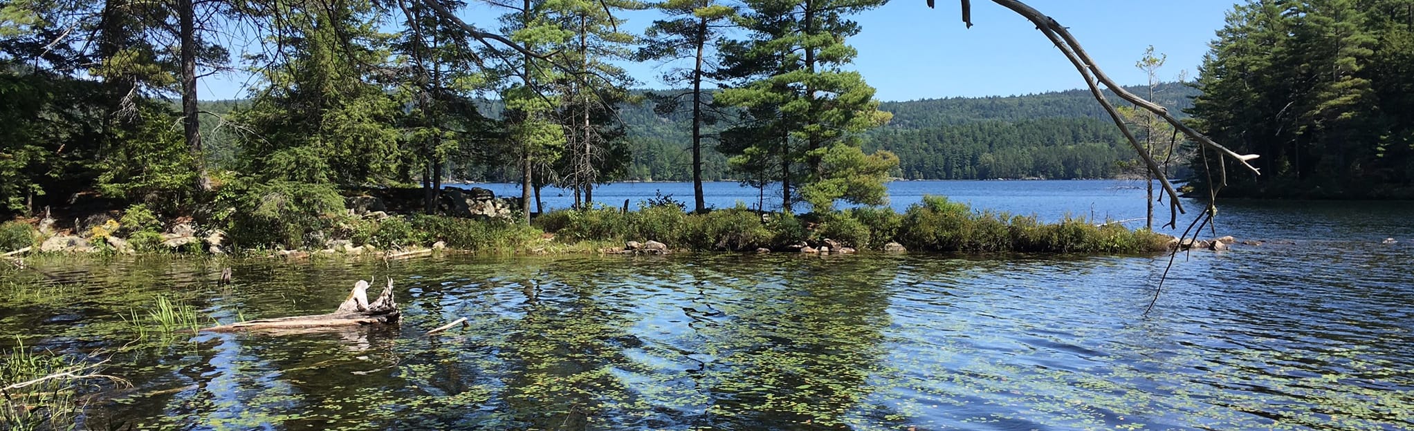 Pharaoh Lake Loop - New York | AllTrails