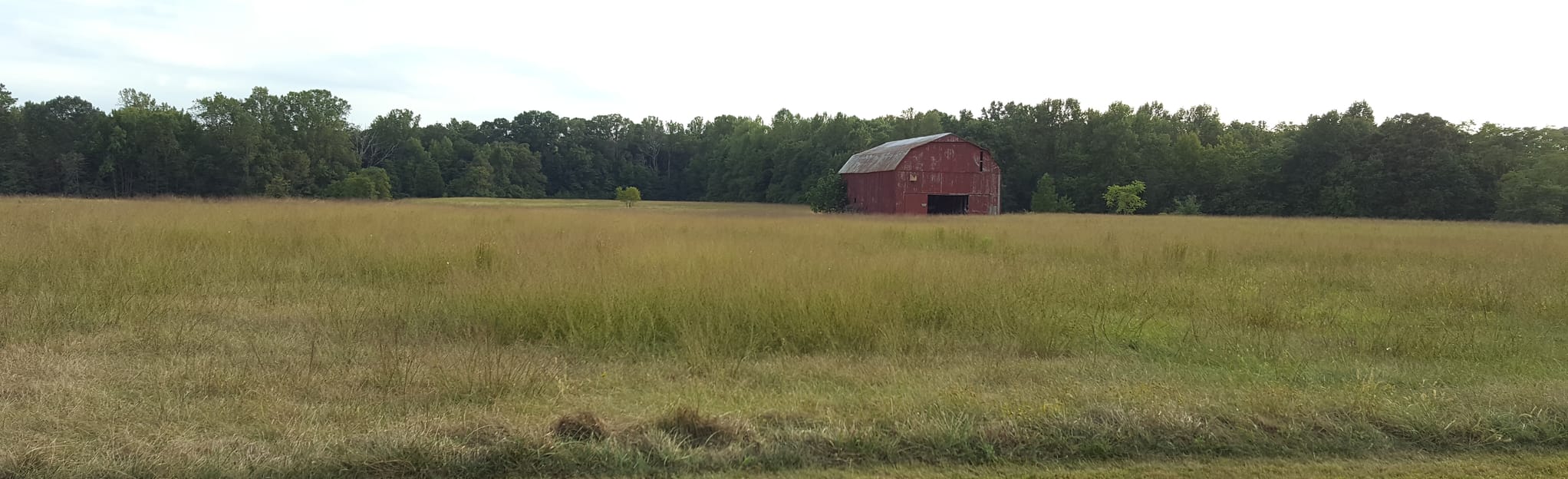 Paw Paw Trail: 34 Reviews, Map - Maryland | AllTrails