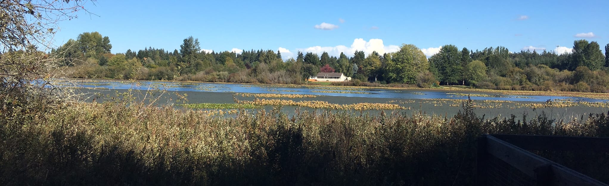 Chehalis Western Trail, Washington - 430 Reviews, Map | AllTrails