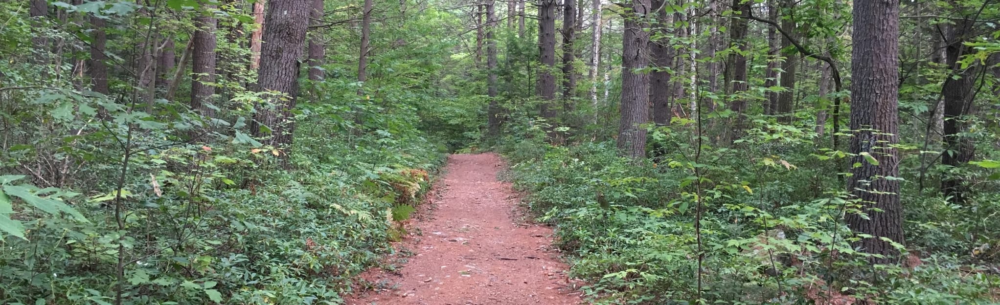 Brook Road and Hell's Highway Loop | Map, Guide - Massachusetts | AllTrails