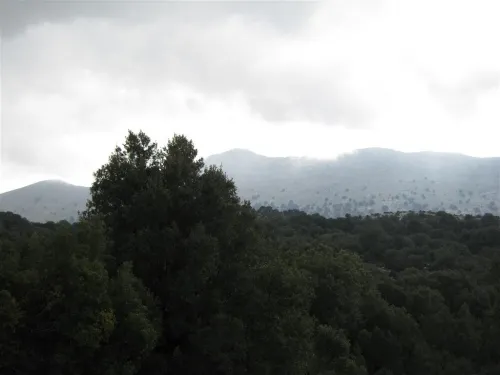 Best Hikes and Trails in Ano Limnion Dimou Malion | AllTrails