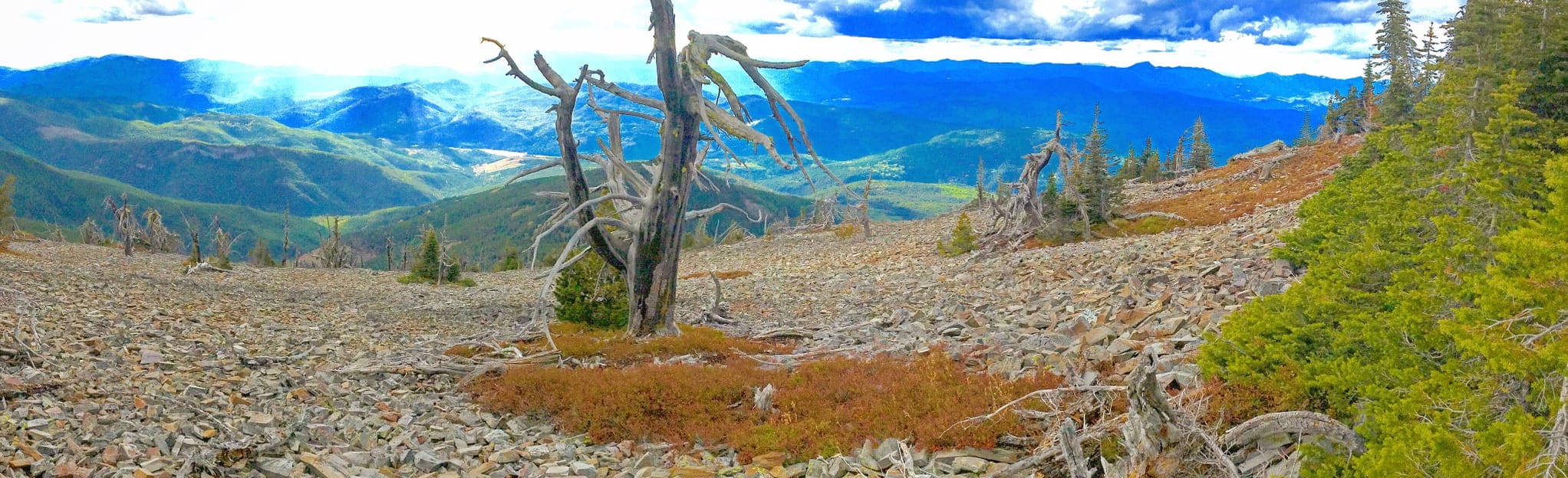 Abercrombie Peak East Approach: 34 Reviews, Map - Washington | AllTrails