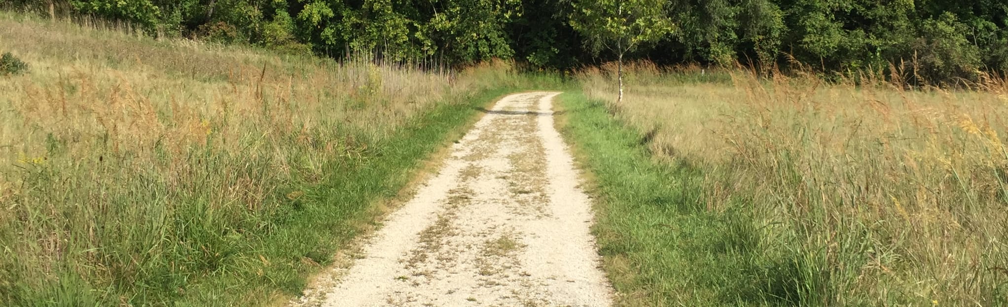 Pine Lane to Jaite via Buckeye Trail, Ohio - 187 Reviews, Map | AllTrails