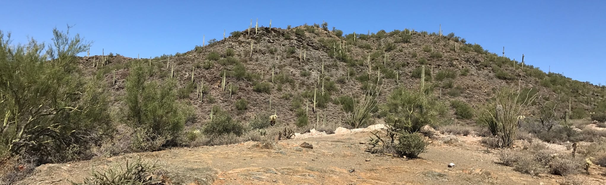 Go John and Overton Trail Loop: 298 Reviews, Map - Arizona | AllTrails