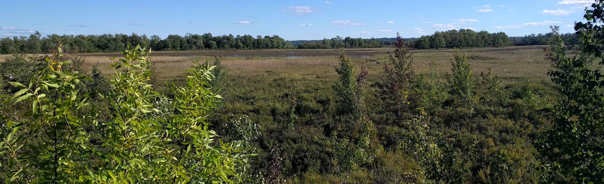 Cranberry Trail : 103 Photos - Ontario, Canada | Randonnée | AllTrails
