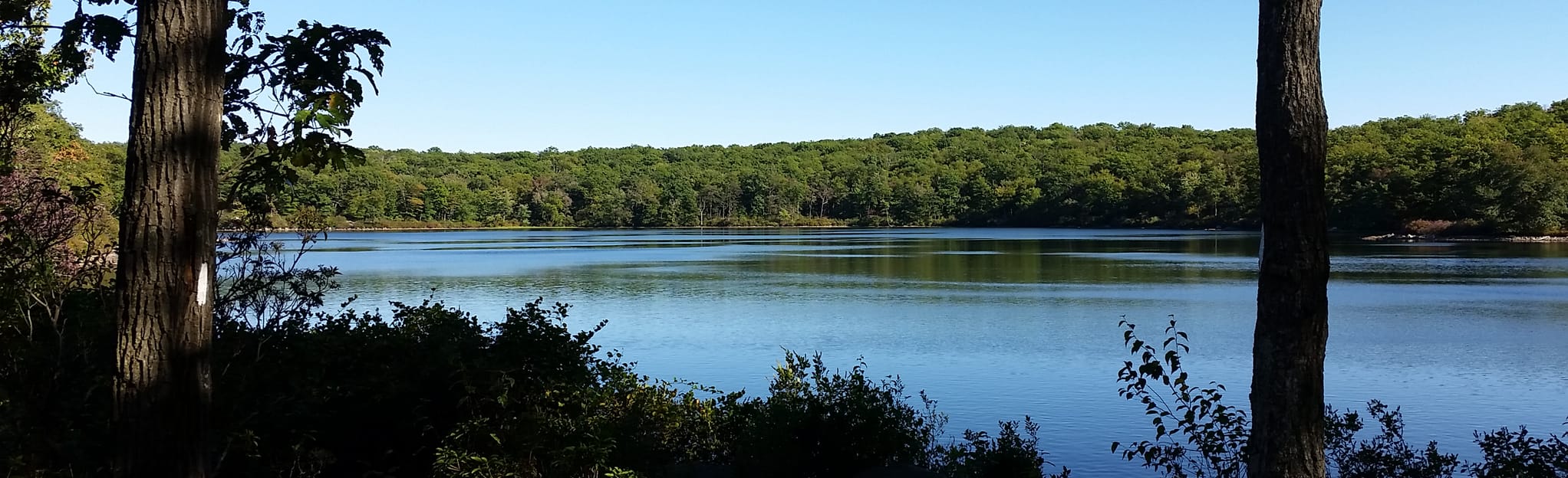 Sunfish Pond via Appalachian Trail: 3.263 foto's - New Jersey | AllTrails