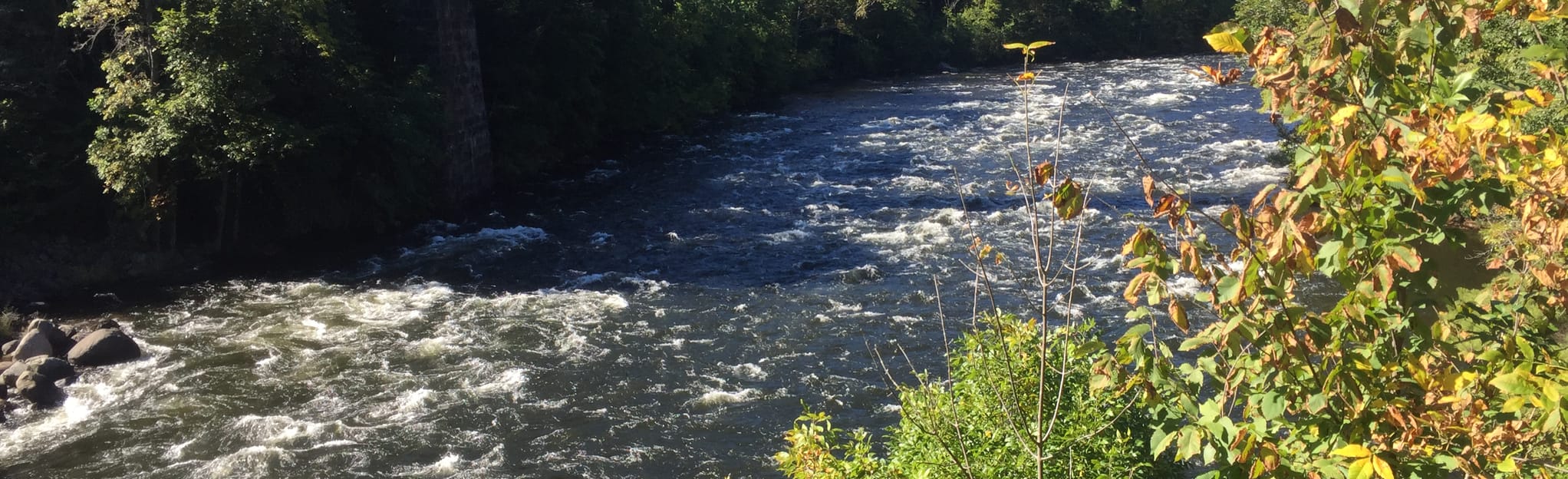 Sacandaga River Whitewater Route: 10 Reviews, Map - New York | AllTrails