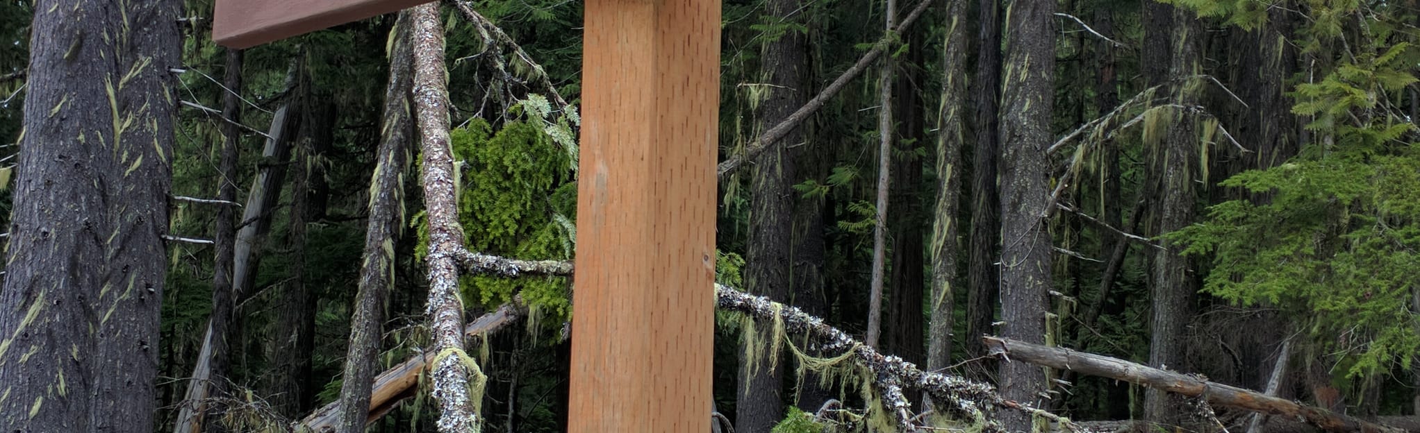 Antler Trail, British Columbia, Canada - Map, Guide | AllTrails