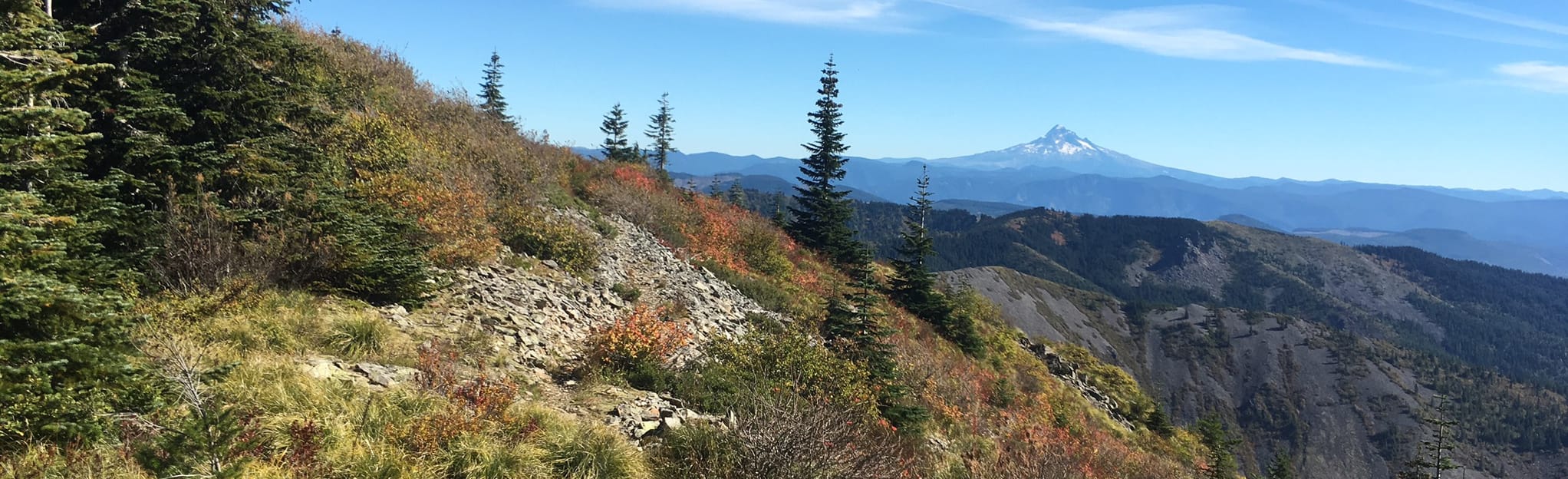 Bluff Mountain Trail, Washington - 66 Reviews, Map | AllTrails