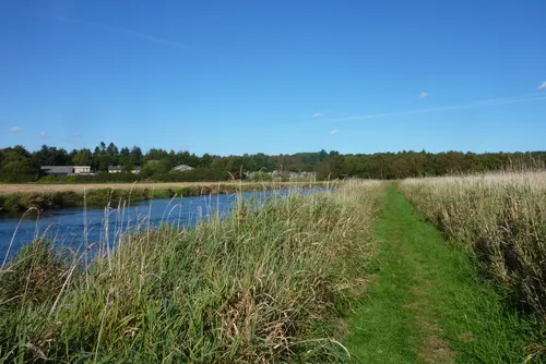 10 bedste ruter og vandreture i Bjerringbro | AllTrails