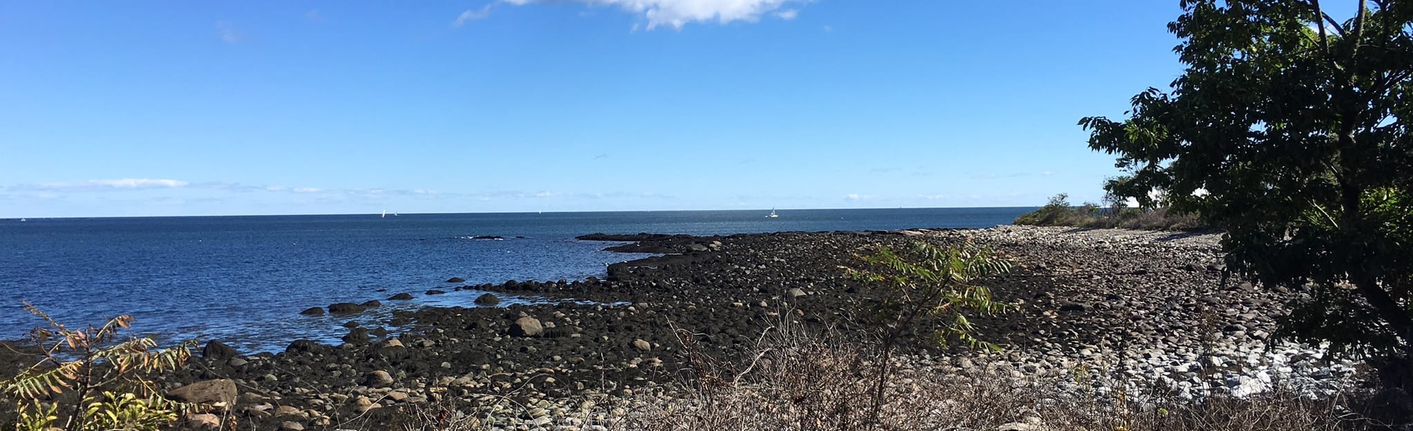 Odiorne Point Loop Trail, New Hampshire - 817 Reviews, Map | AllTrails