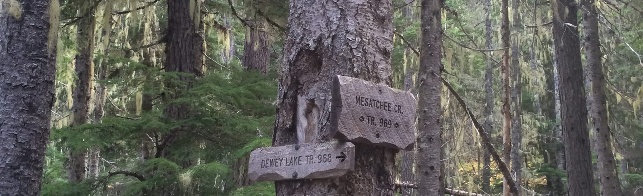Dewey Lake Trail #968, Washington - 13 Reviews, Map | AllTrails