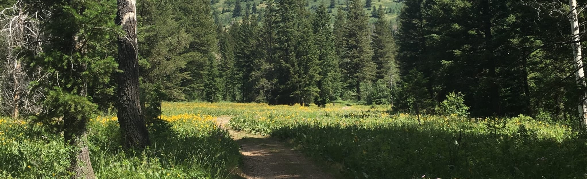 Long Spring Basin: 24 Reviews, Map - Wyoming | AllTrails