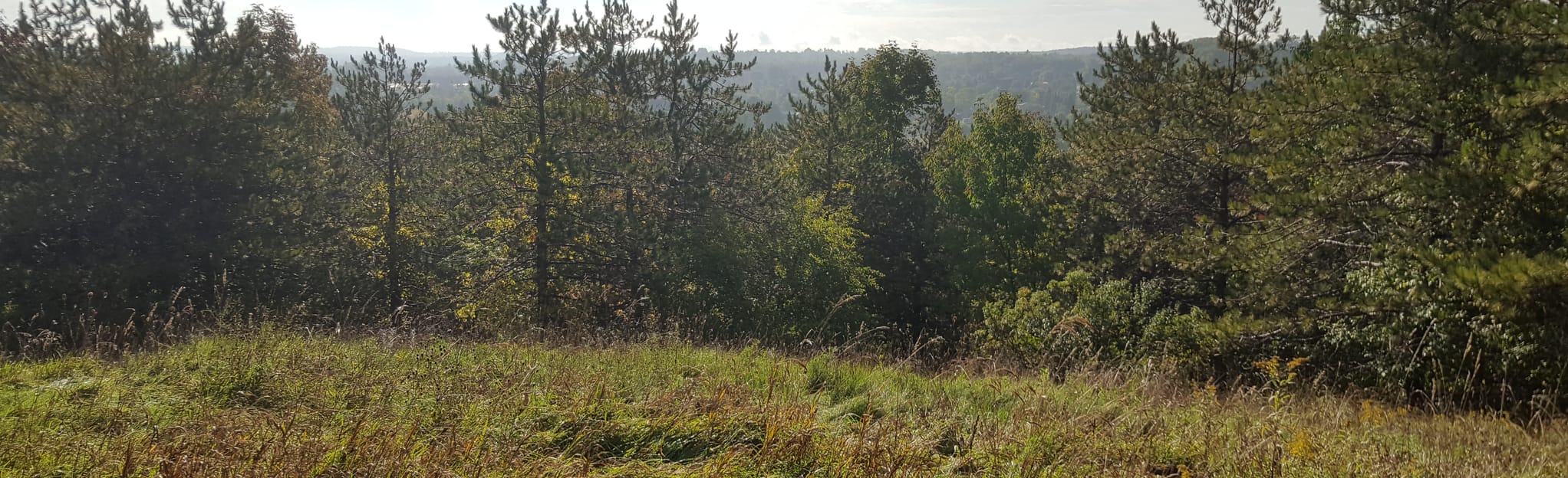 Alton Pinnacle: 34 Reviews, Map - Ontario, Canada | AllTrails