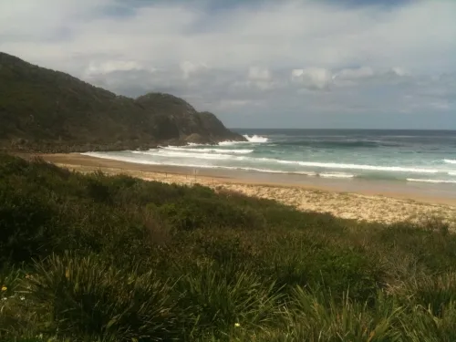 Best Hikes and Trails in Boomerang Beach - Blueys Beach | AllTrails