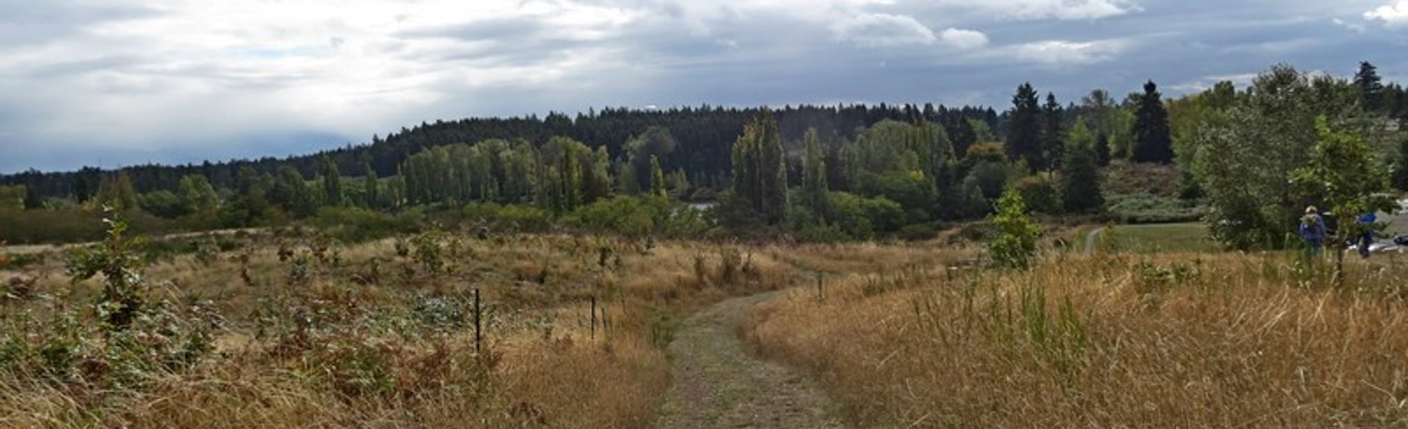 Fort Steilacoom Perimeter Loop, Washington - 172 Reviews, Map | AllTrails