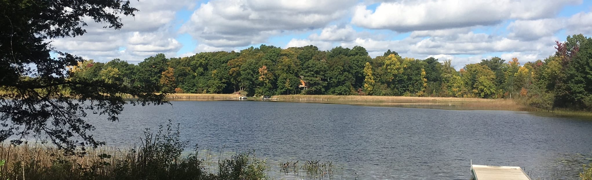 Deerfield Hills Nature Area Loop: 337 Reviews, Map - Michigan | AllTrails