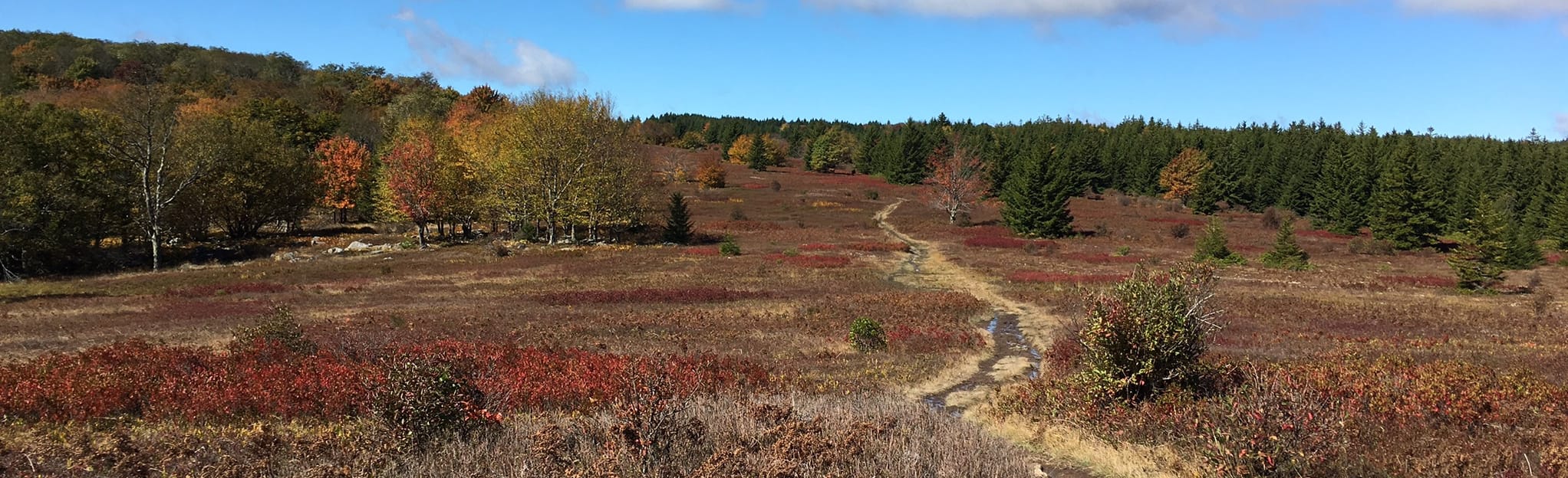 Bear Rocks, Raven Ridge, and Dobbin Grade Trail, West Virginia - 550 ...