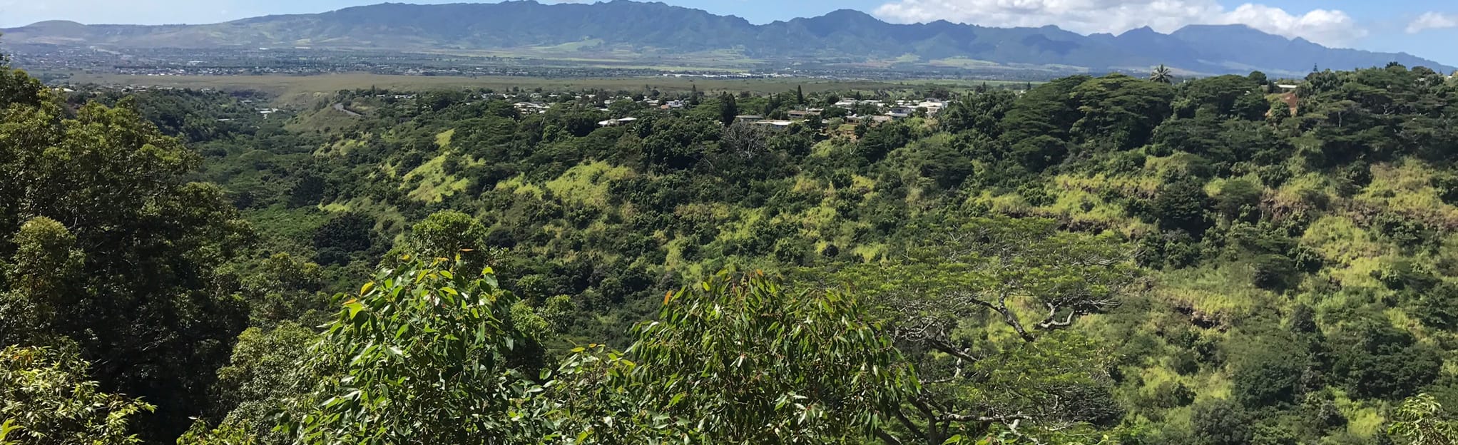 Lower and Upper Waimano Trail, Oahu, Hawaii - 1,776 Reviews, Map ...