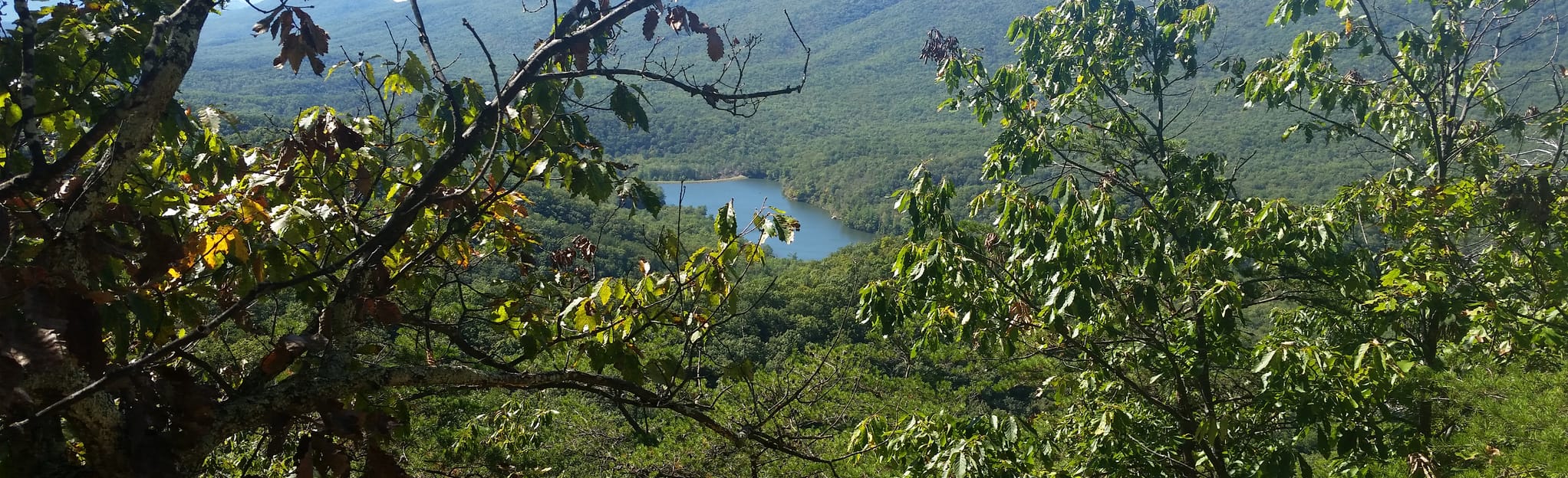 Ross Camp Trail, Virginia - 13 Reviews, Map | AllTrails