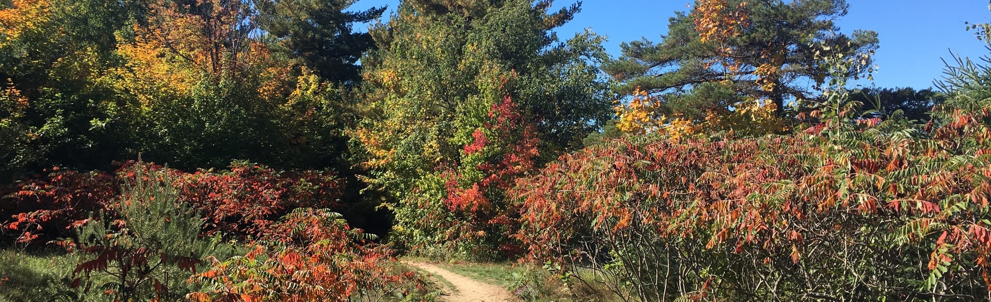 Ardagh Ring Trail: 513 Reviews, Map - Ontario, Canada | AllTrails