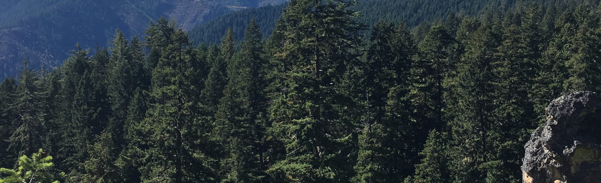 Bradley Ridge Trail to Dog Creek Indian Cave, Oregon - 9 Reviews, Map ...