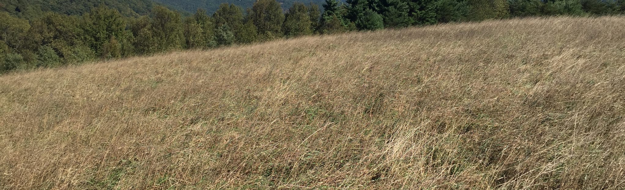 Blue Ridge Parkway: Virginia State Line to Blowing Rock: 19 Reviews ...