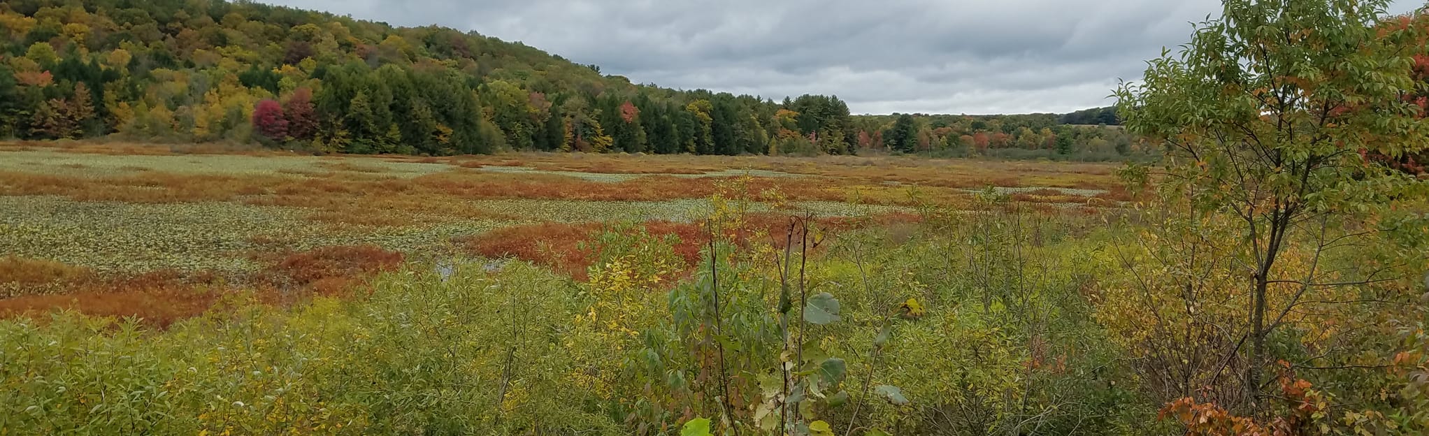 Deer Run Trail, Pennsylvania - 110 Reviews, Map | AllTrails