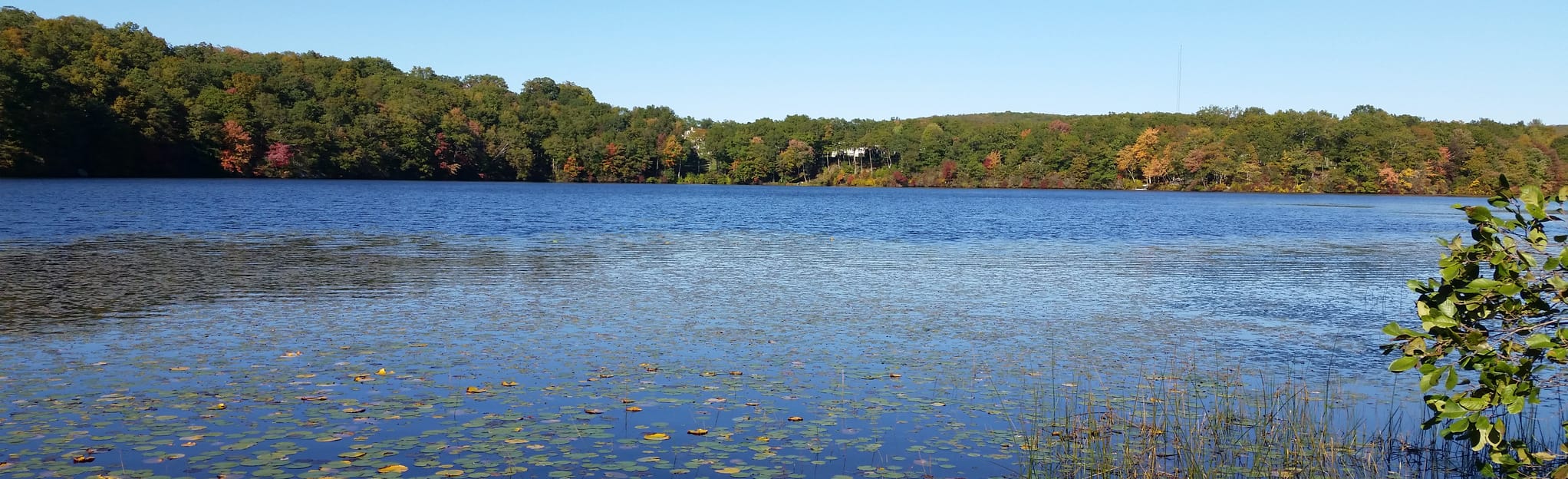 Goodwin Trail: 196 Reviews, Map - Connecticut | AllTrails