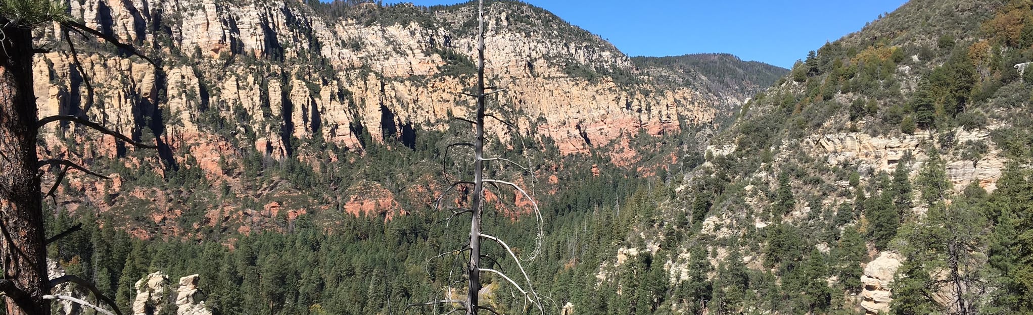 Harding Springs Trail to Cookstove Trail, Arizona - 132 Reviews, Map ...