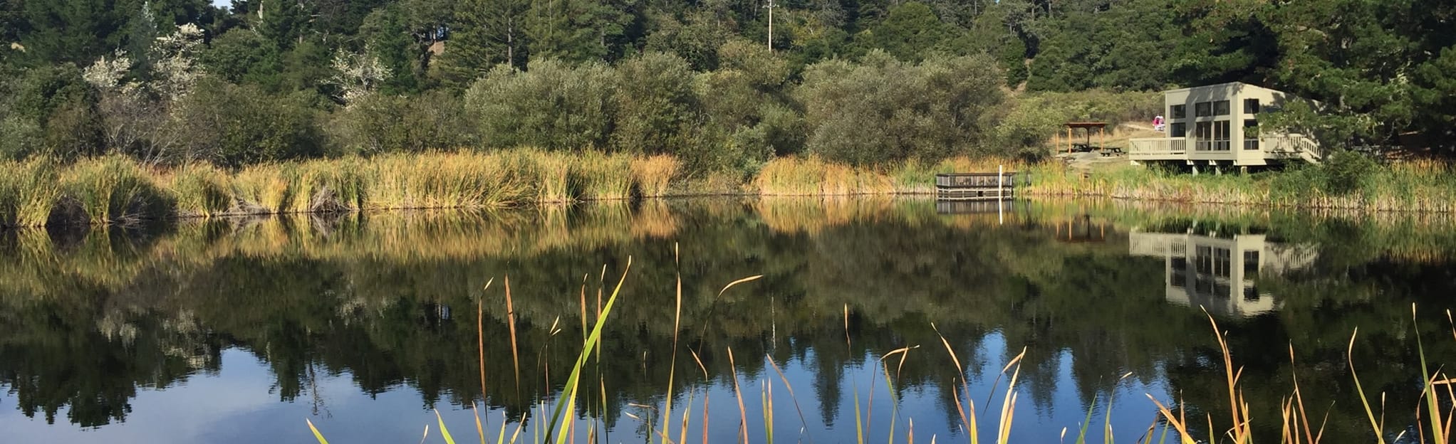 Bay Area Ridge Trail: Skyline Ridge and Russian Ridge Open Space ...