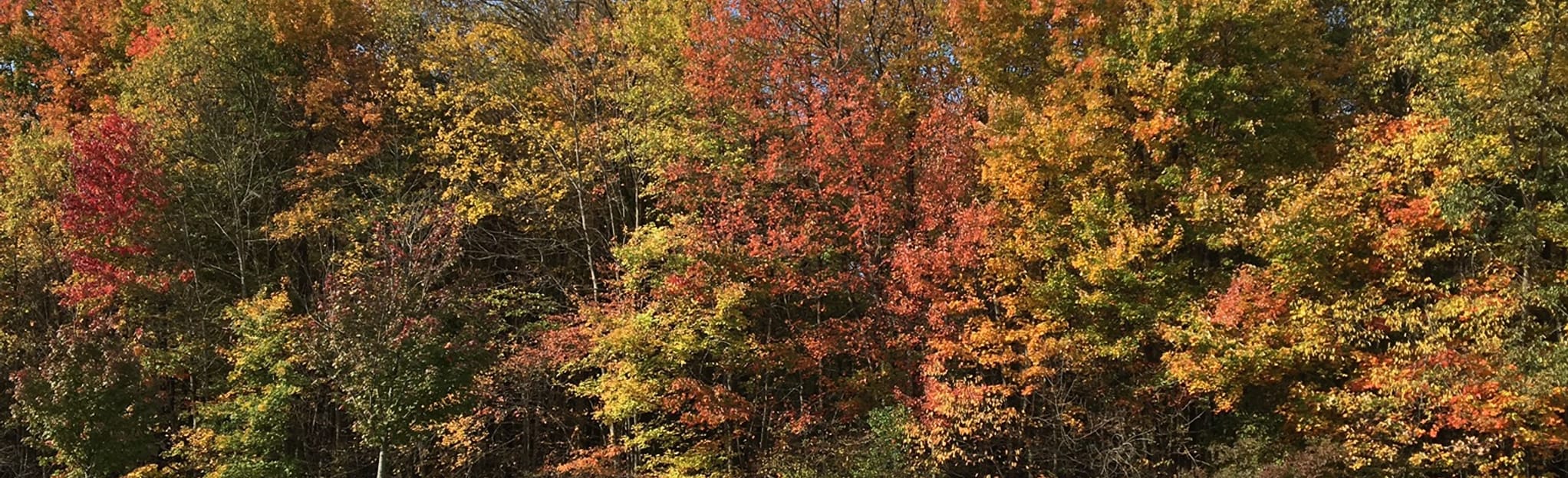 Planetary Trail, Woodland Loop and Nassau Connector Trail: 158 Reviews ...