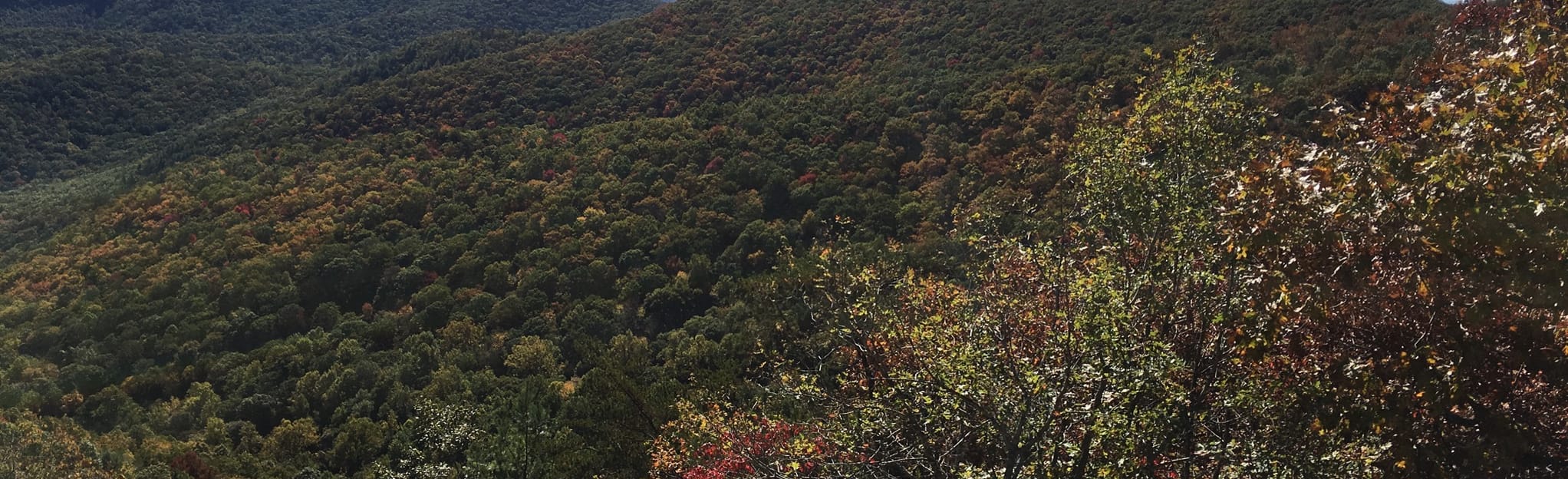 Woody Gap to Jarrard Gap, Georgia - 380 Reviews, Map | AllTrails