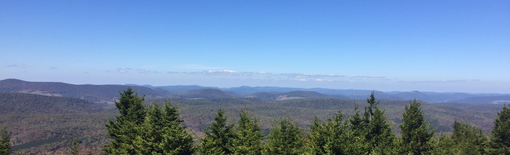 Spruce Knob via Lumberjack Trail and Huckleberry Trail, West Virginia ...