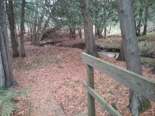 Best Hikes and Trails in Cosner and Bennett-Barnes Nature Preserve ...