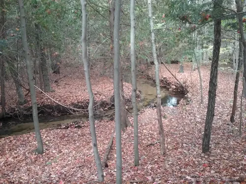 Best Hikes and Trails in Cosner and Bennett-Barnes Nature Preserve ...