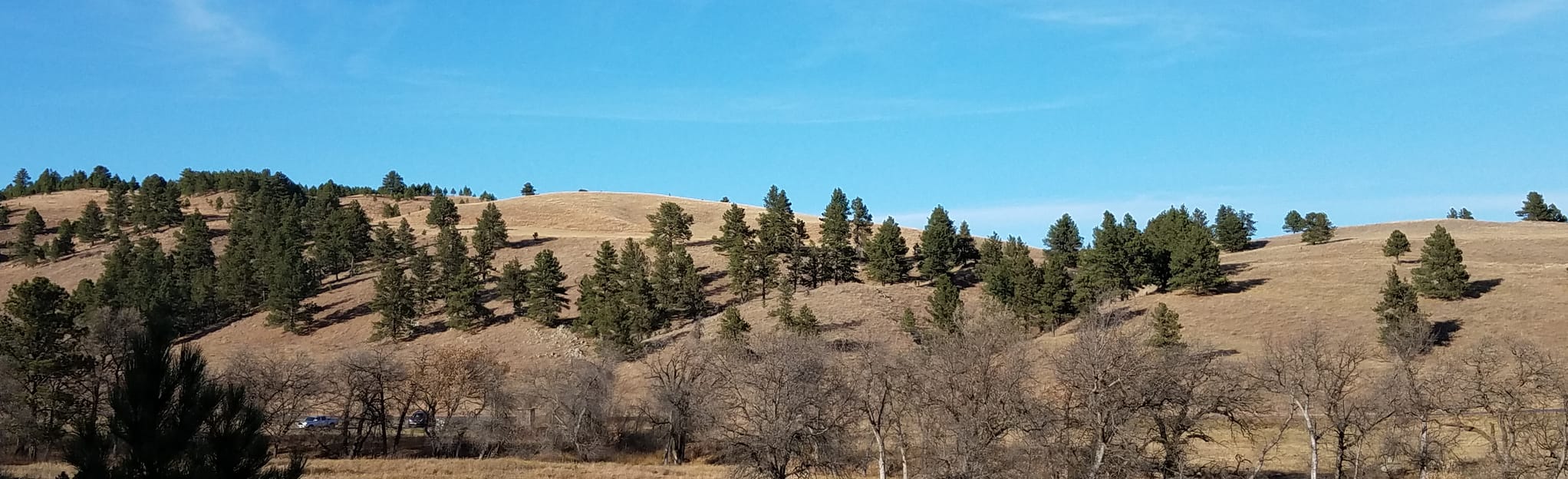 Prairie Trail, South Dakota - 497 Reviews, Map | AllTrails