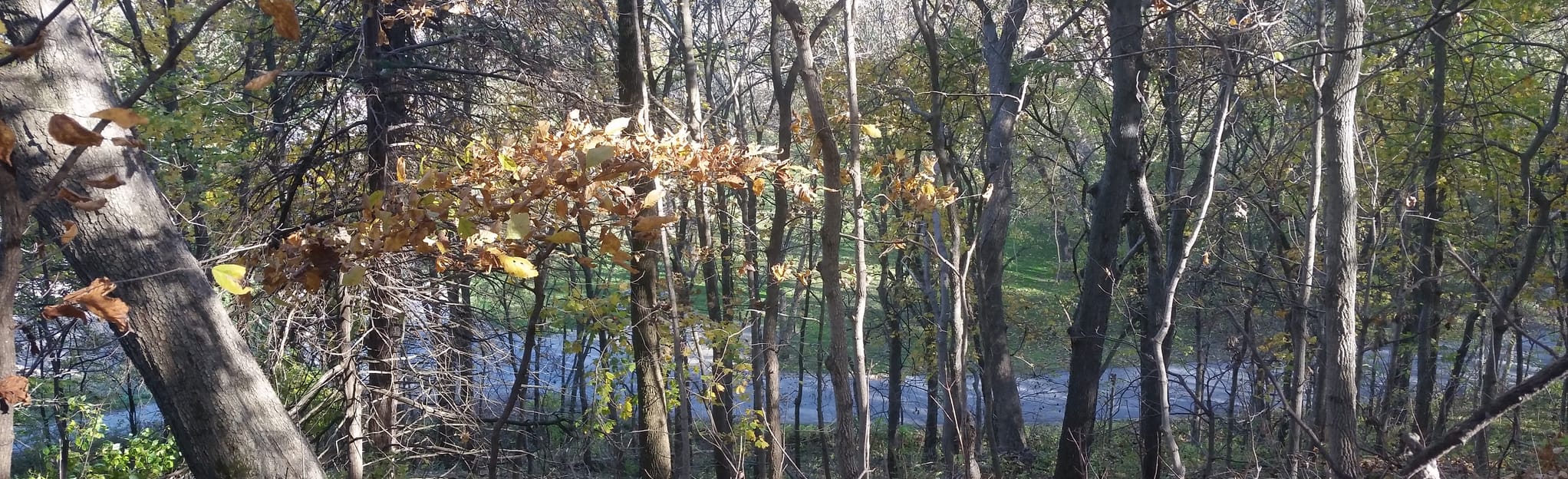 Pammel Backbone Trail, Iowa - 81 Reviews, Map | AllTrails