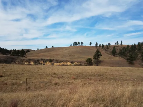 Best 10 Hikes and Trails in Wind Cave National Park | AllTrails