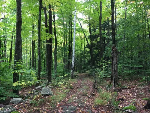 Best Hikes and Trails in Colgate Lake Wild Forest | AllTrails