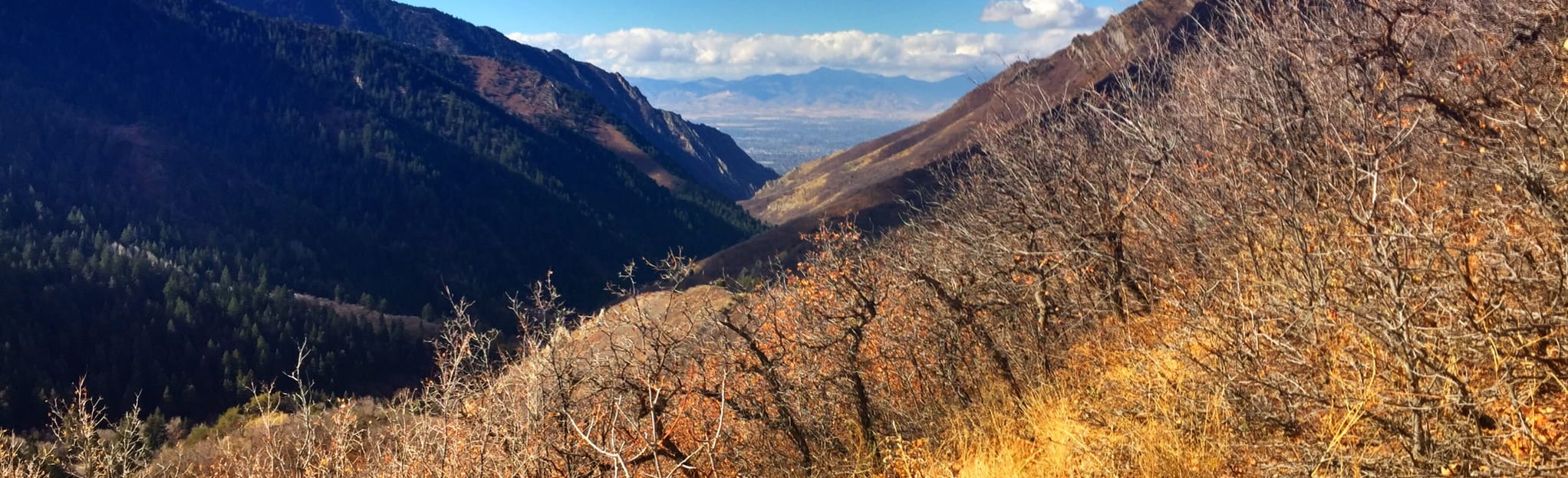 Burch Hollow Trail, Utah - 263 Reviews, Map | AllTrails