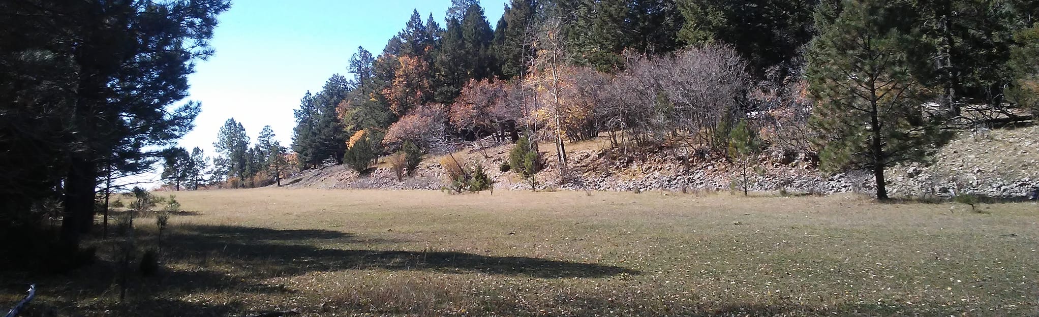 Sunspot Trail to Cathy Canyon and Rim Trail Loop: 171 Reviews, Map ...