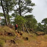 Mount Tapulao, Zambales, Philippines - 10 Reviews, Map | AllTrails