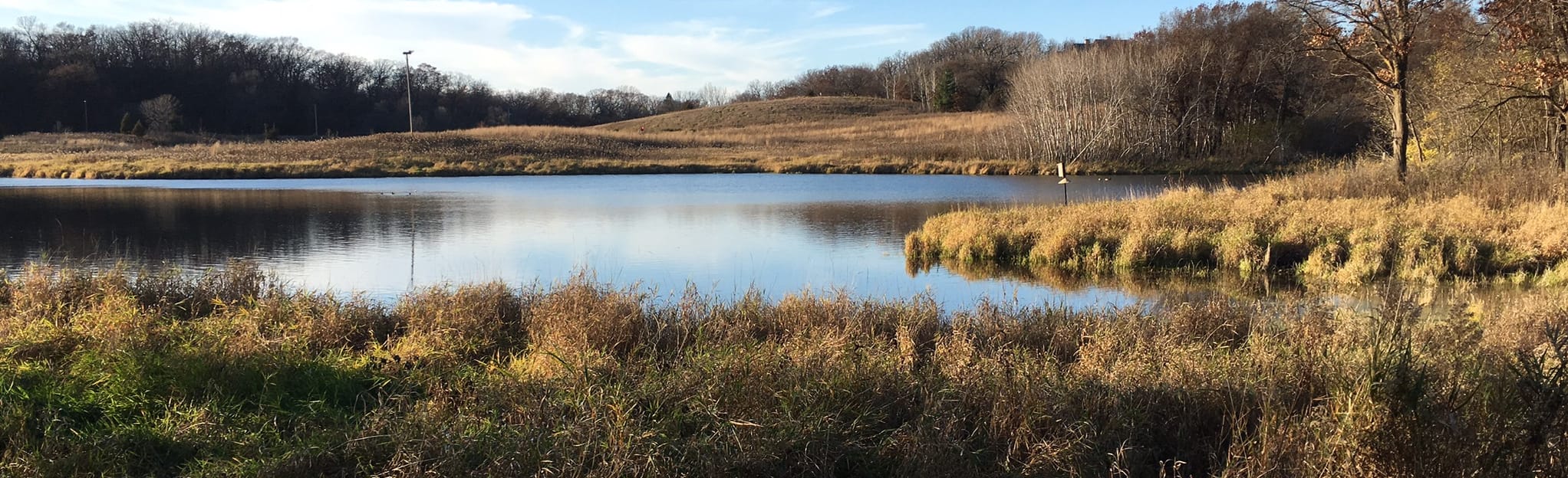 Hyland and Bush Lakes Loop Trail: 834 Reviews, Map - Minnesota | AllTrails