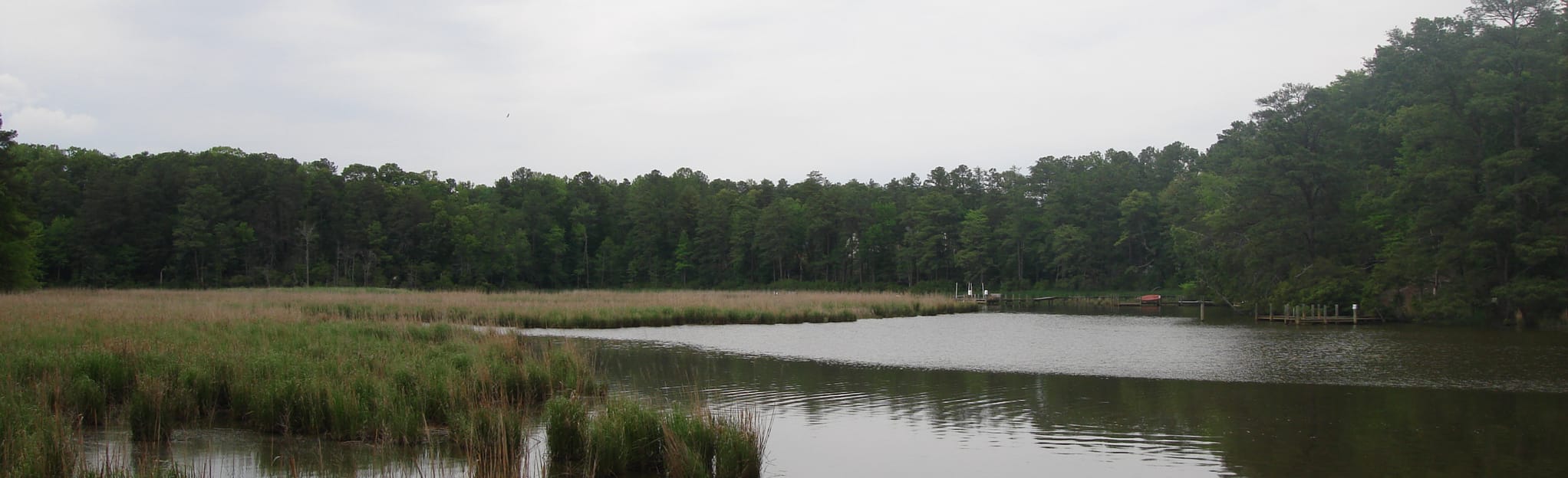 Bush Mill Preserve Trail: 43 Reviews, Map - Virginia | AllTrails