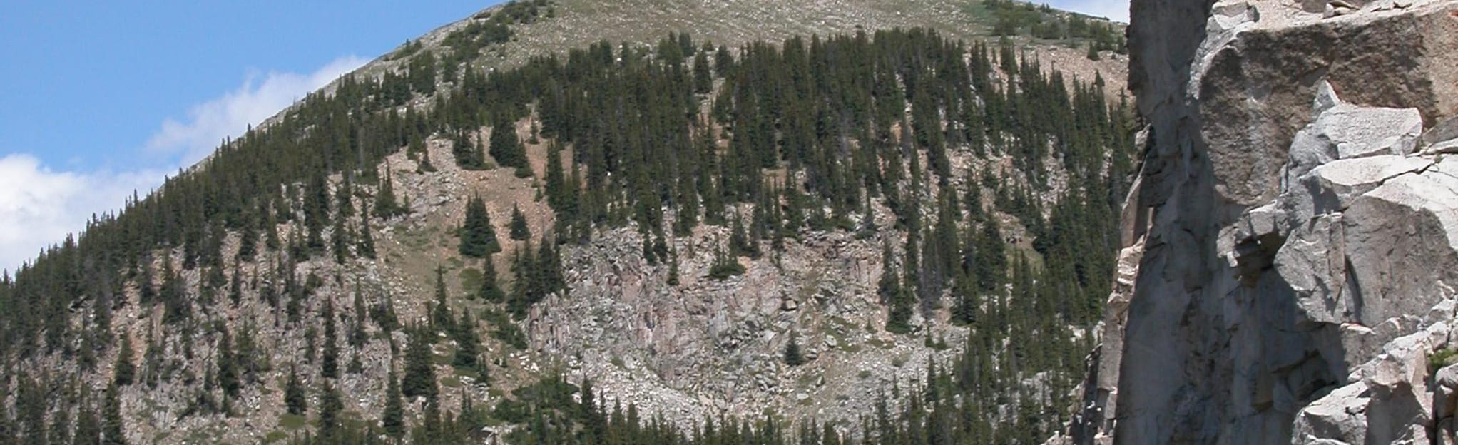 Tomichi Pass: 8 Reviews, Map - Colorado | AllTrails